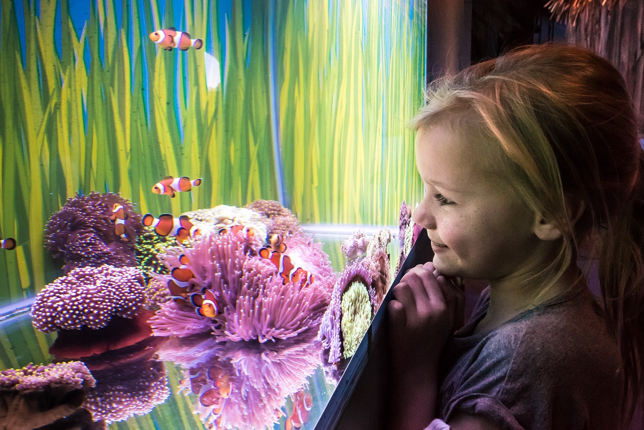Kids go free or discounted to Sea Life centres - Money saving blog ...